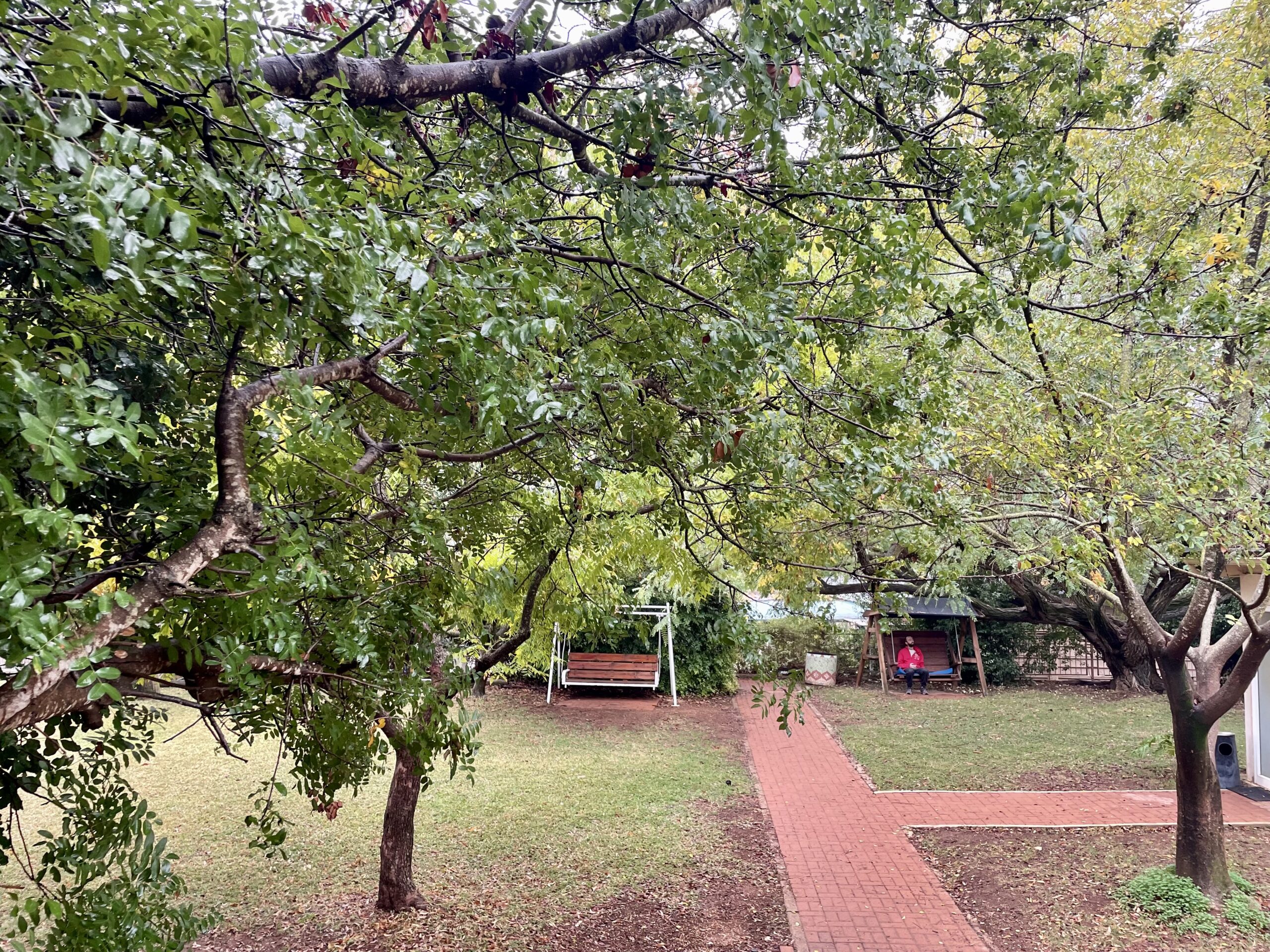 Ajahn Vajiro in Israel - Nov 2022 (private page) - Appamada-Israel אפאמאדה